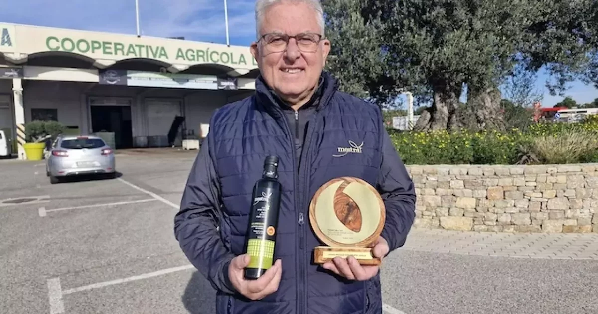 Un dels millors olis d'oliva verge extra de Catalunya s'elabora en un ...