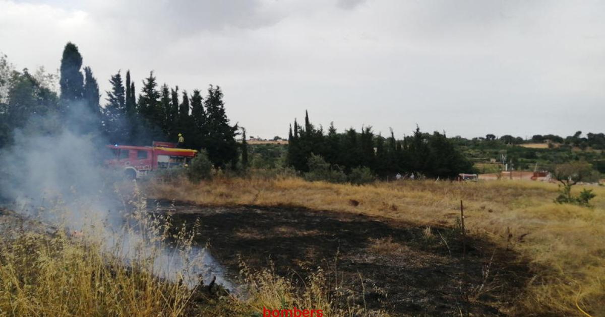 Incendio de matorrales en el Camí del Riu de Valls