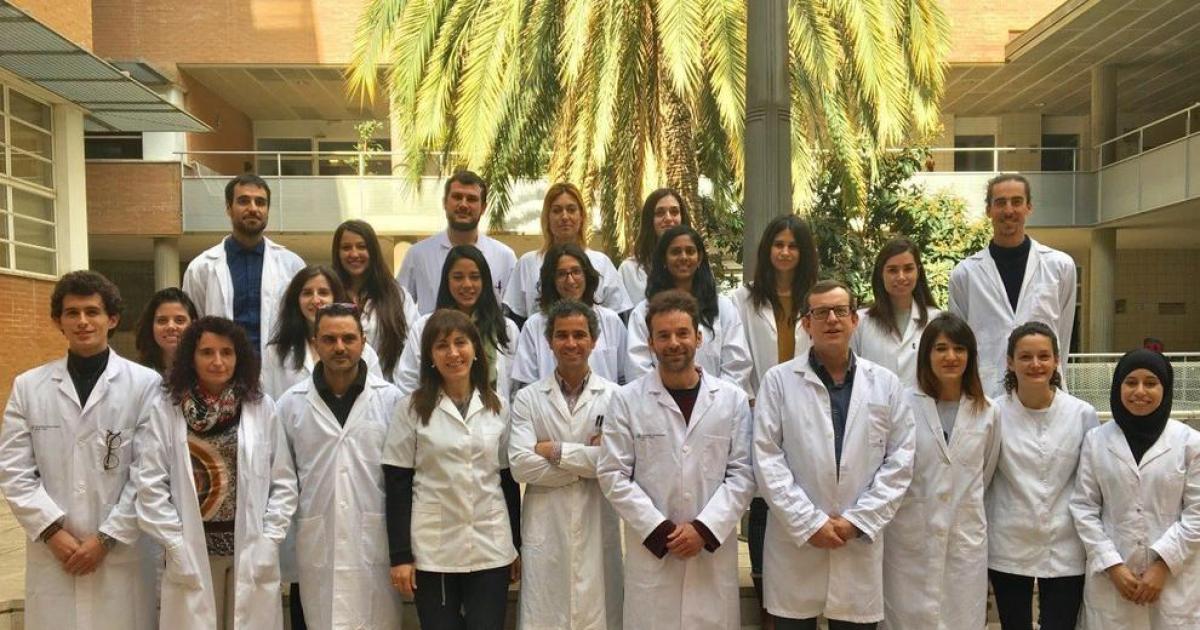 Un estudio de la URV muestra que los alimentos con alto índice ... Un estudio de la URV muestra que los alimentos con alto índice ...