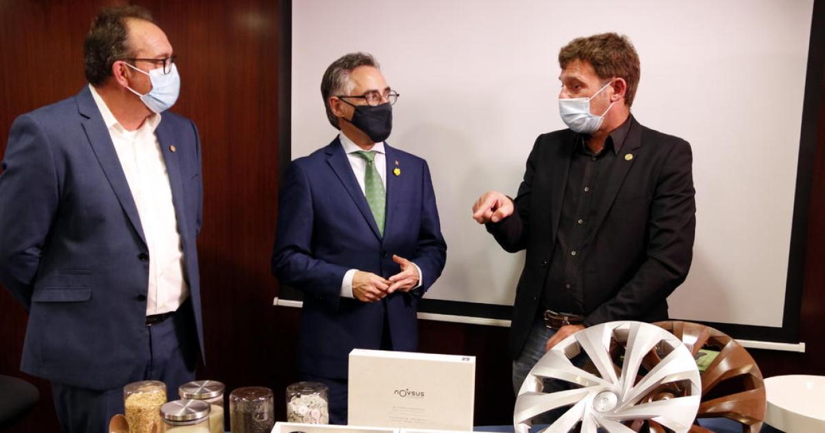 Oryzite, el nuevo material creado a partir de cáscaras de arroz que ...