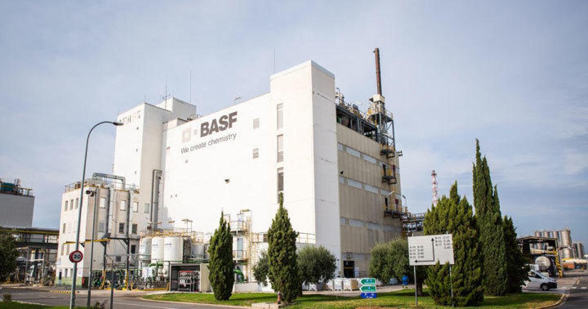 La nueva planta de baterías en la Canonja es una «prioridad» para BASF ...