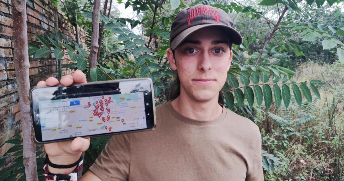 Reus tiene plantados 8.000 ejemplares de ailant, una especie invasora