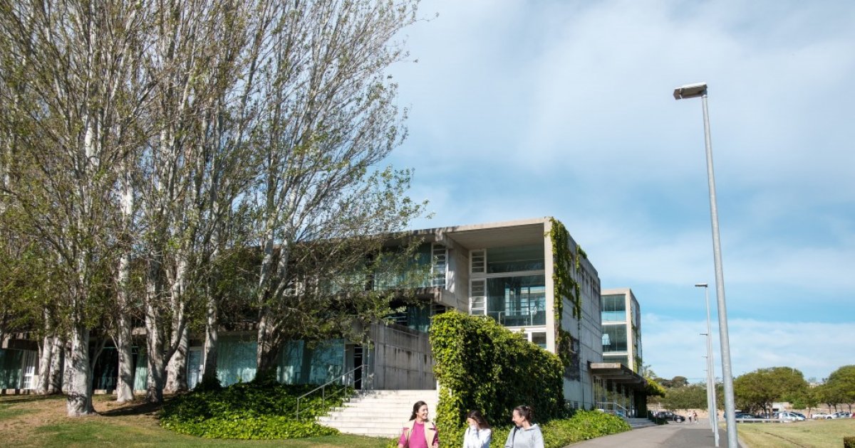 Nicolette shea escort review her vibe is amazing, and she