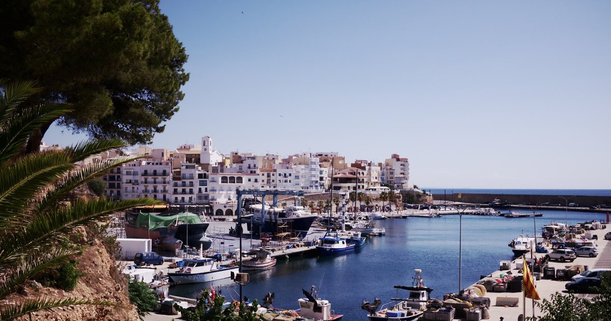 Nobru transando like a crucial first sip of brew in the AM,