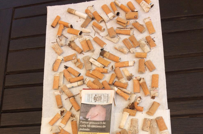 Recogida de colillas en el bosque de la Marquesa