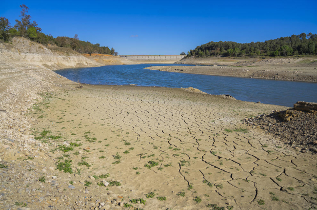 Els embassaments del conjunt de conques internes de Catalunya baixen ...