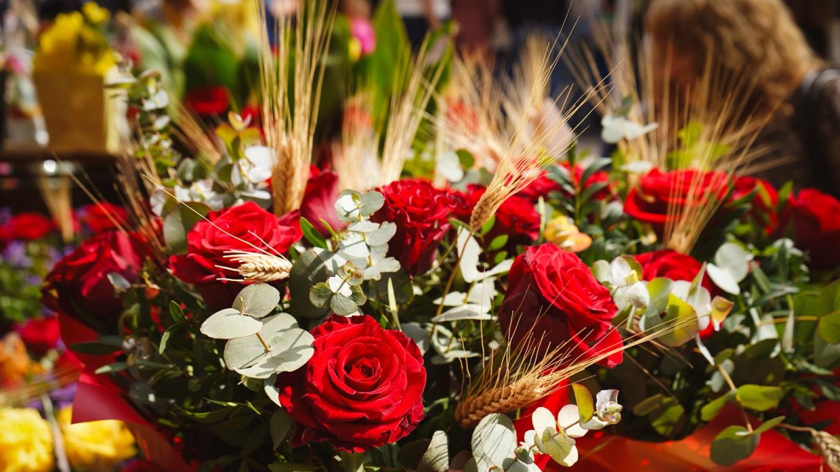 Les millors imatges de la Diada de Sant Jordi a Reus
