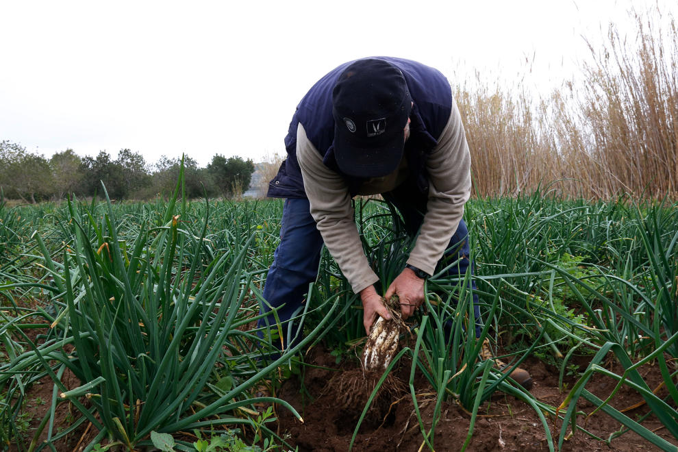 135 residencias de personas mayores del Camp de Tarragona y de Lleida ...