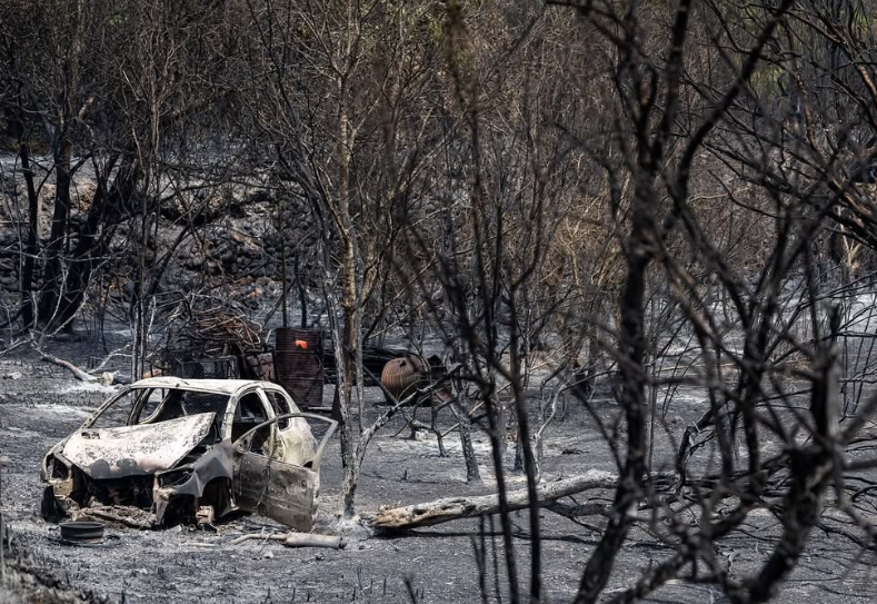 Micromecenatge per recuperar Xerta després del gran incendi del Baix Ebre